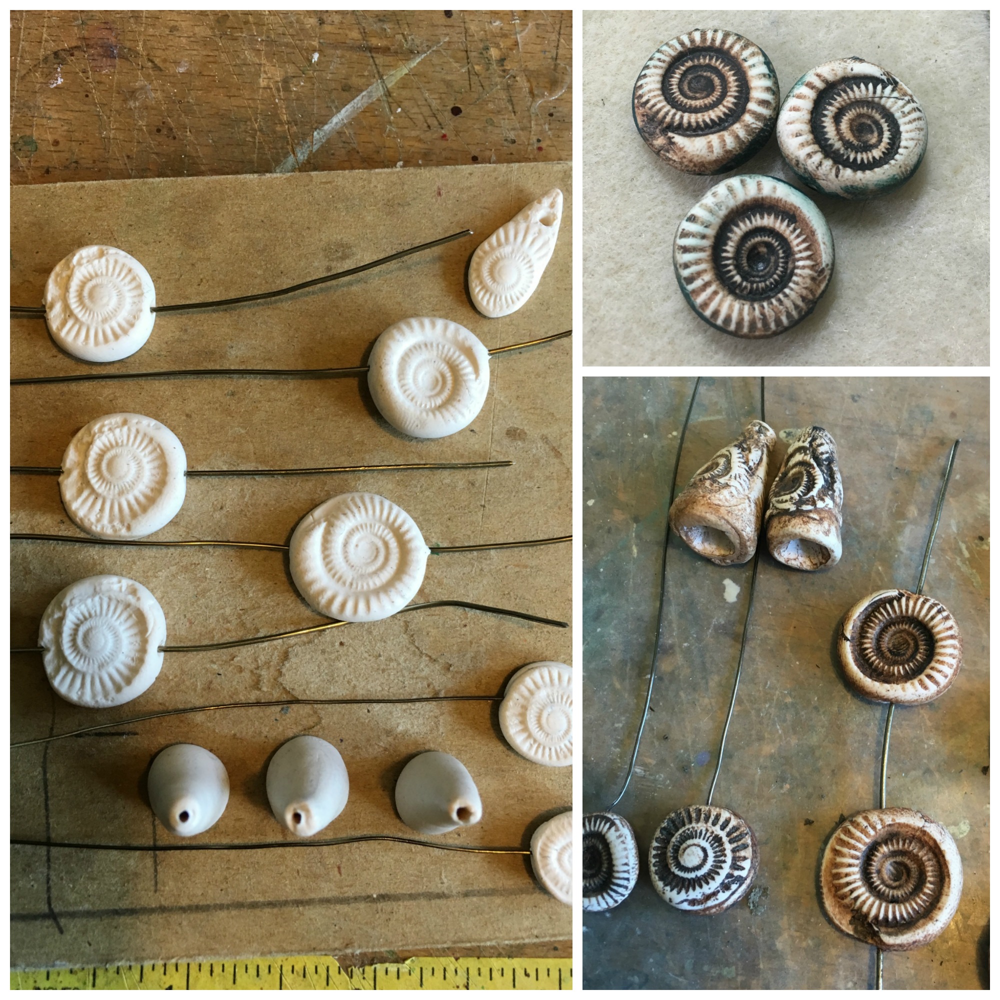 All about ammonites – the July COM reveal at AJE – Jenny Davies-Reazor